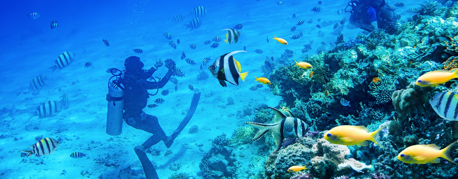 Home - Arcadia Beach Resort, Pandanan Island Malayasia